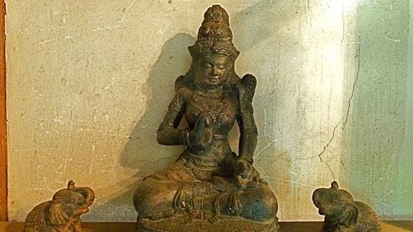 【宮崎】築130余年の古民家を改造した和モダンなシェアハウス これからのシーズンは花見もできますの写真5