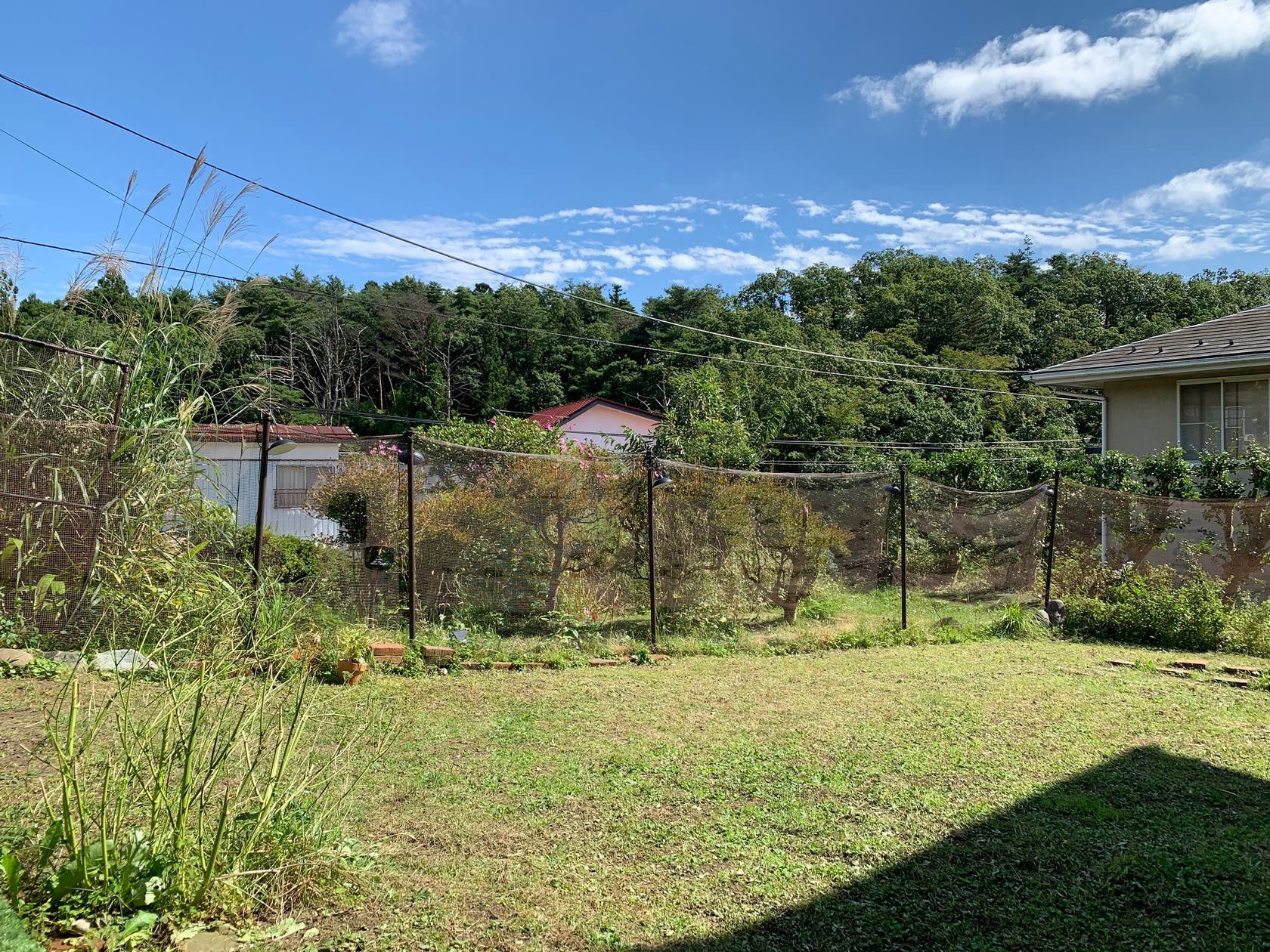 仙台中心部からほど近く、緑が広がる明るく清々しい空間で、撮影、リモートワーク、会議などに。の写真11