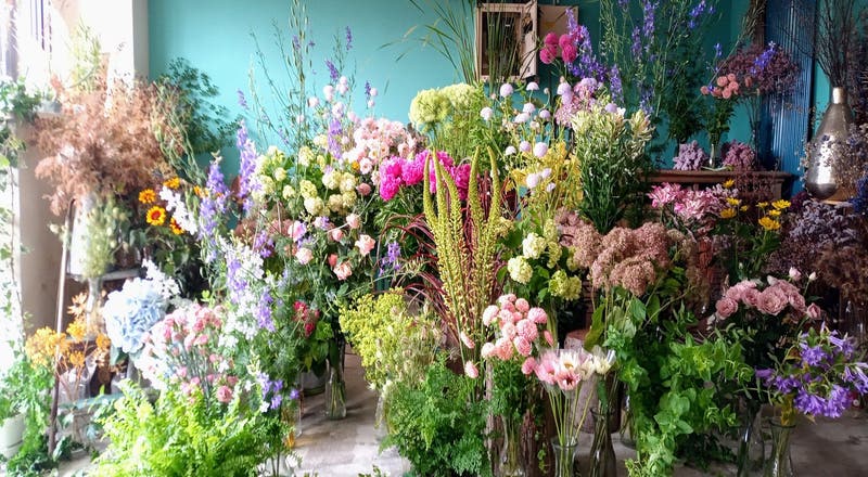 ✴花屋×フォトスタジオ✴楽園をイメージした生花と自然光の中で撮影♪ポートレート・コスプレ撮影  商用・動画撮影も可。