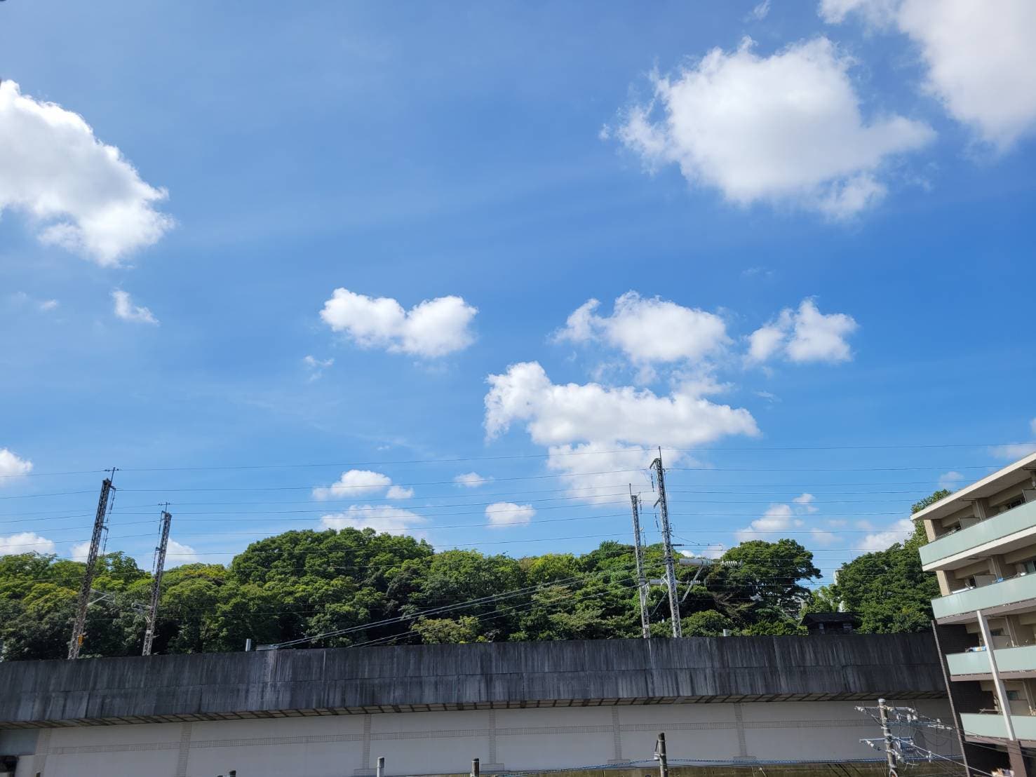 FC　SPACE【屋上】眺望🌞複数スペース◎駐車◎【秋葉原・池袋～電車20分以内】駅近　昭和　ベンチ　空　電車　レトロ　都電の写真13