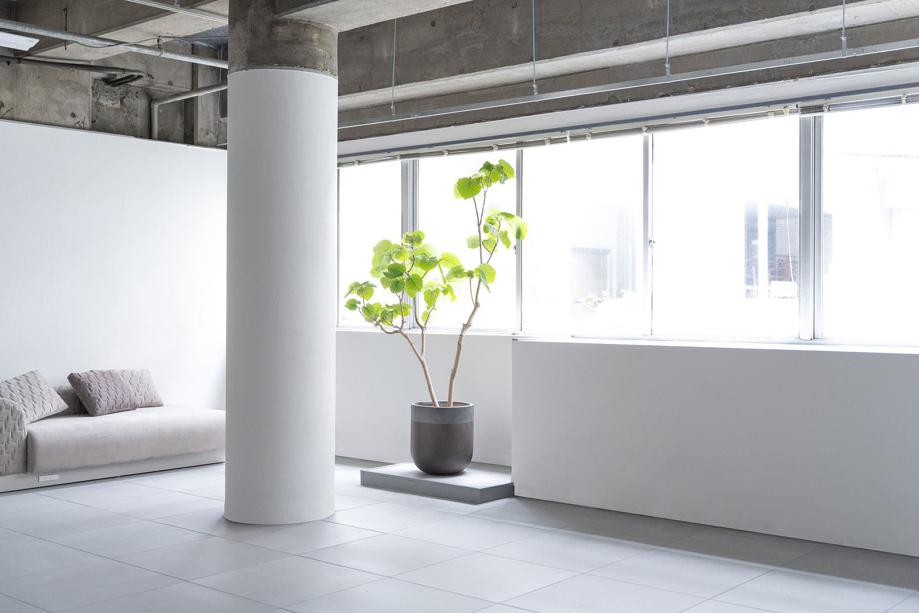 co-space AKASAKA[六本木一丁目/赤坂]白壁のシンプルな空間。撮影・収録/POP利用などに！の写真3