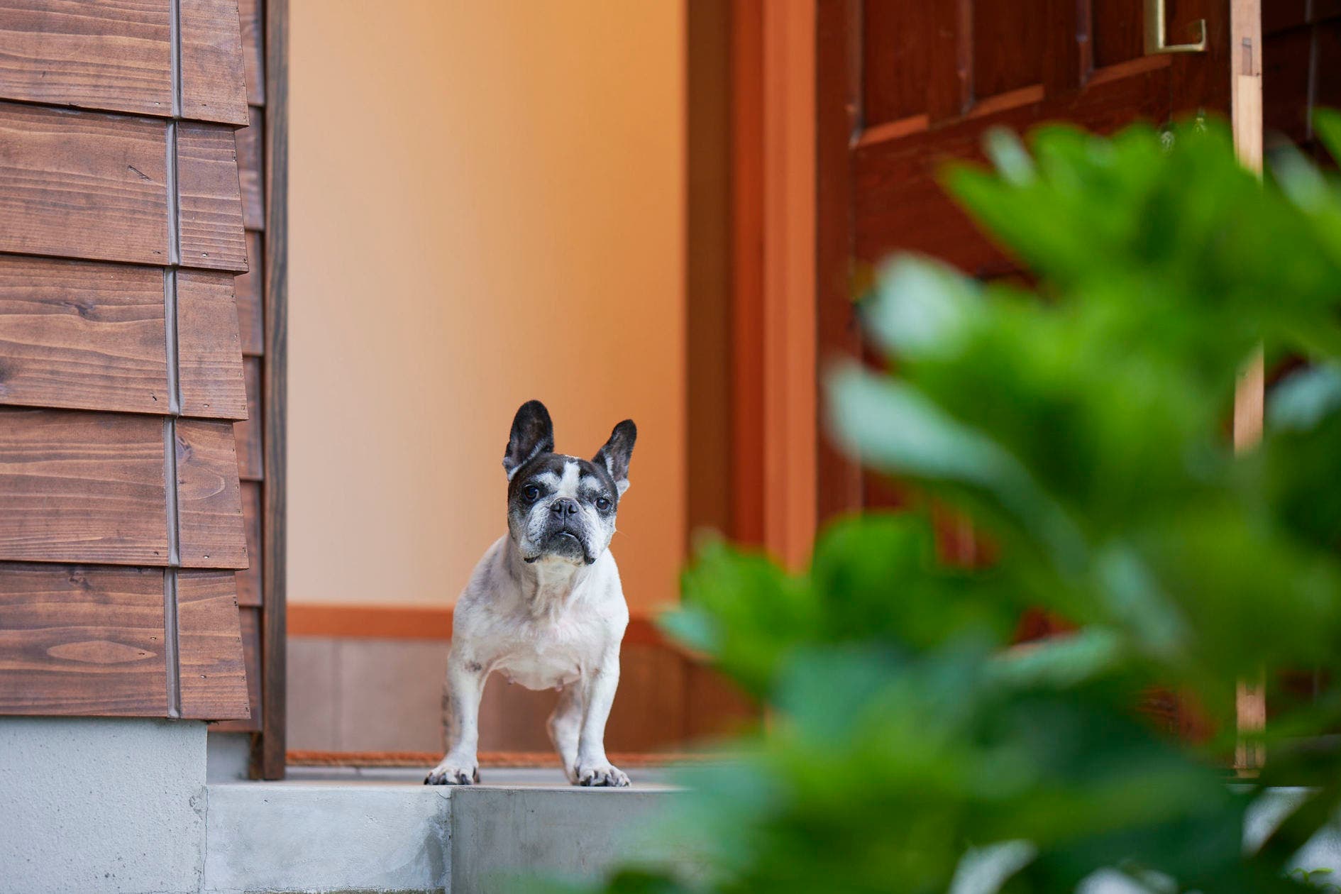 撮影・収録向け｜山の眺望と自然光が美しい一軒家スタジオの写真5