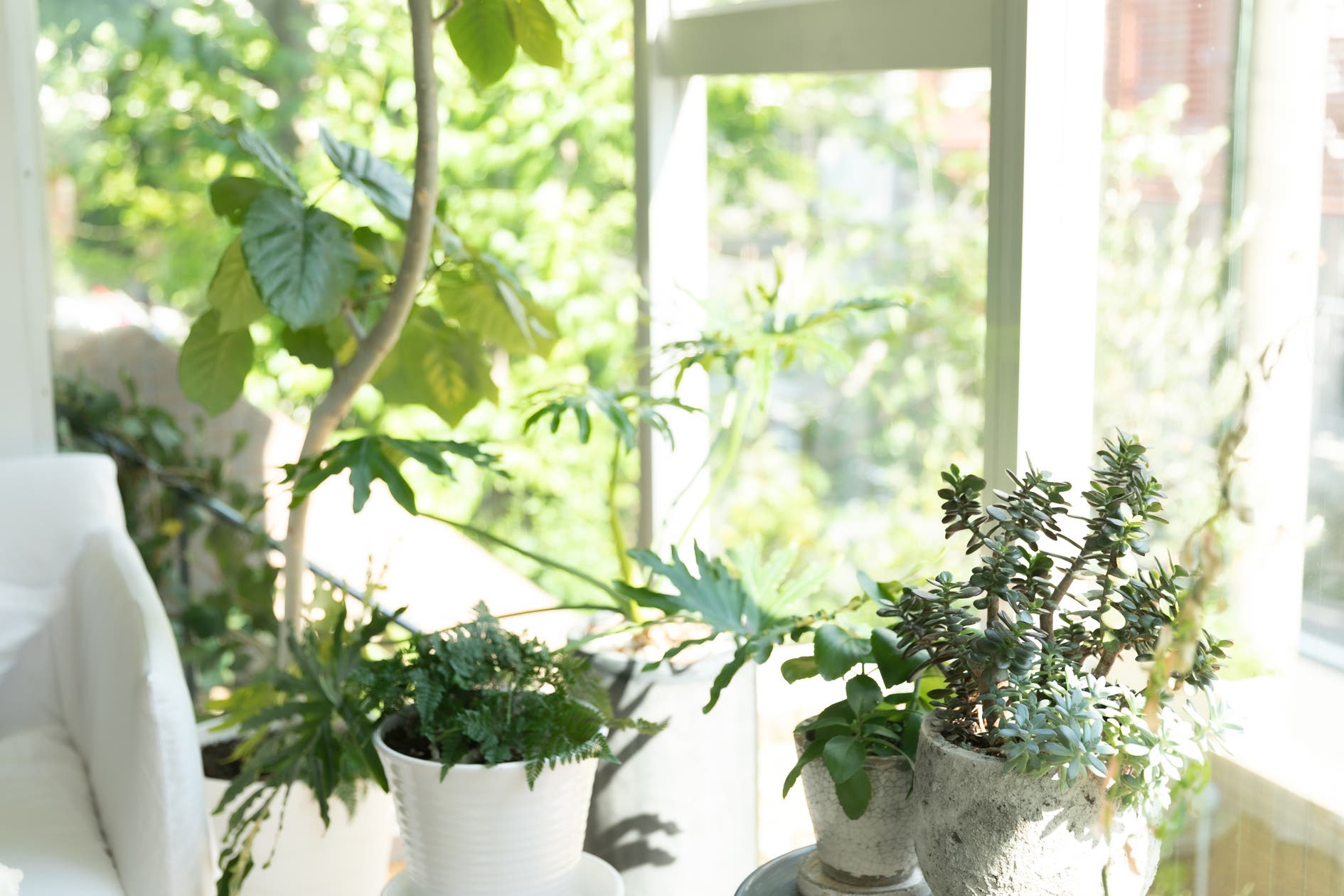 高岳駅から３分緑と光に囲まれたワンランク上の空間。動画撮影・セミナー・教室・展示会など多様に使えますの写真6