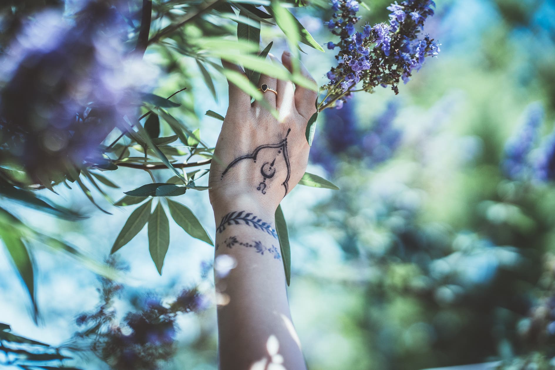 【大人も楽しい秘密基地❗️】湘南・藤沢北部の農園地帯。貸切キャンプ｜音楽イベント｜撮影｜キッチン・シャワー完備の写真23