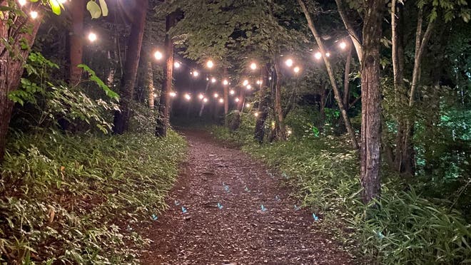 清里高原のキャンプ場にあるロッジ1棟丸ごと貸切!! 芝生テントサイトやカマドのついた屋根付炊事場も使える!の写真5