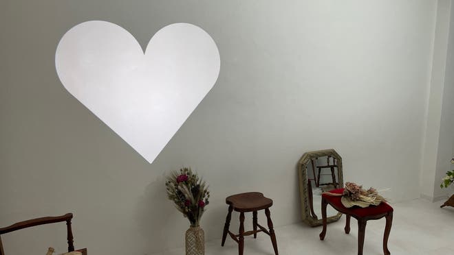 【中野新橋駅徒歩1分】HP完成記念!自然光、全10パターンの背景、アンティーク家具・アーティシャルフラワーの充実した撮影スタジオの写真10