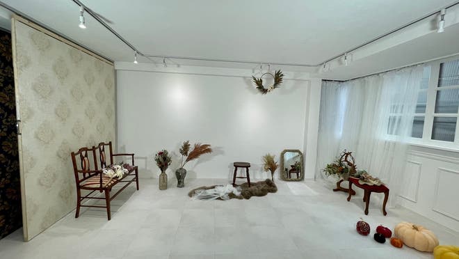 【中野新橋駅徒歩1分】HP完成記念!自然光、全10パターンの背景、アンティーク家具・アーティシャルフラワーの充実した撮影スタジオの写真16