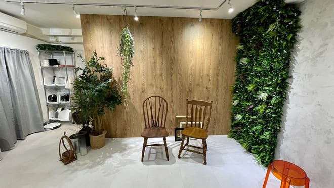 【中野新橋駅徒歩1分】HP完成記念!自然光、全10パターンの背景、アンティーク家具・アーティシャルフラワーの充実した撮影スタジオの写真20