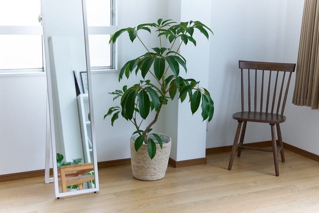 自然光が入るレンタルスペースフォトスタジオの写真8