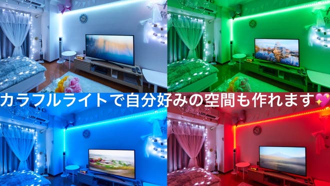 🎉飯田橋駅3分💖ゴミ捨て無料🗑ふわふわグランピング💖神クラスプロジェクター✨歓送迎会🍺🎉の写真25