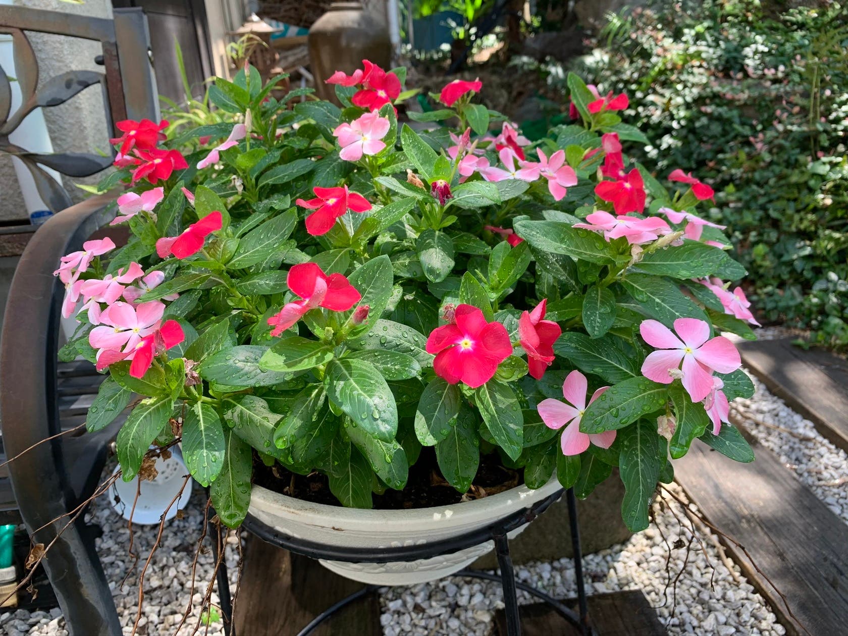 国立市西のレンタル・コワーキングスペースの写真22