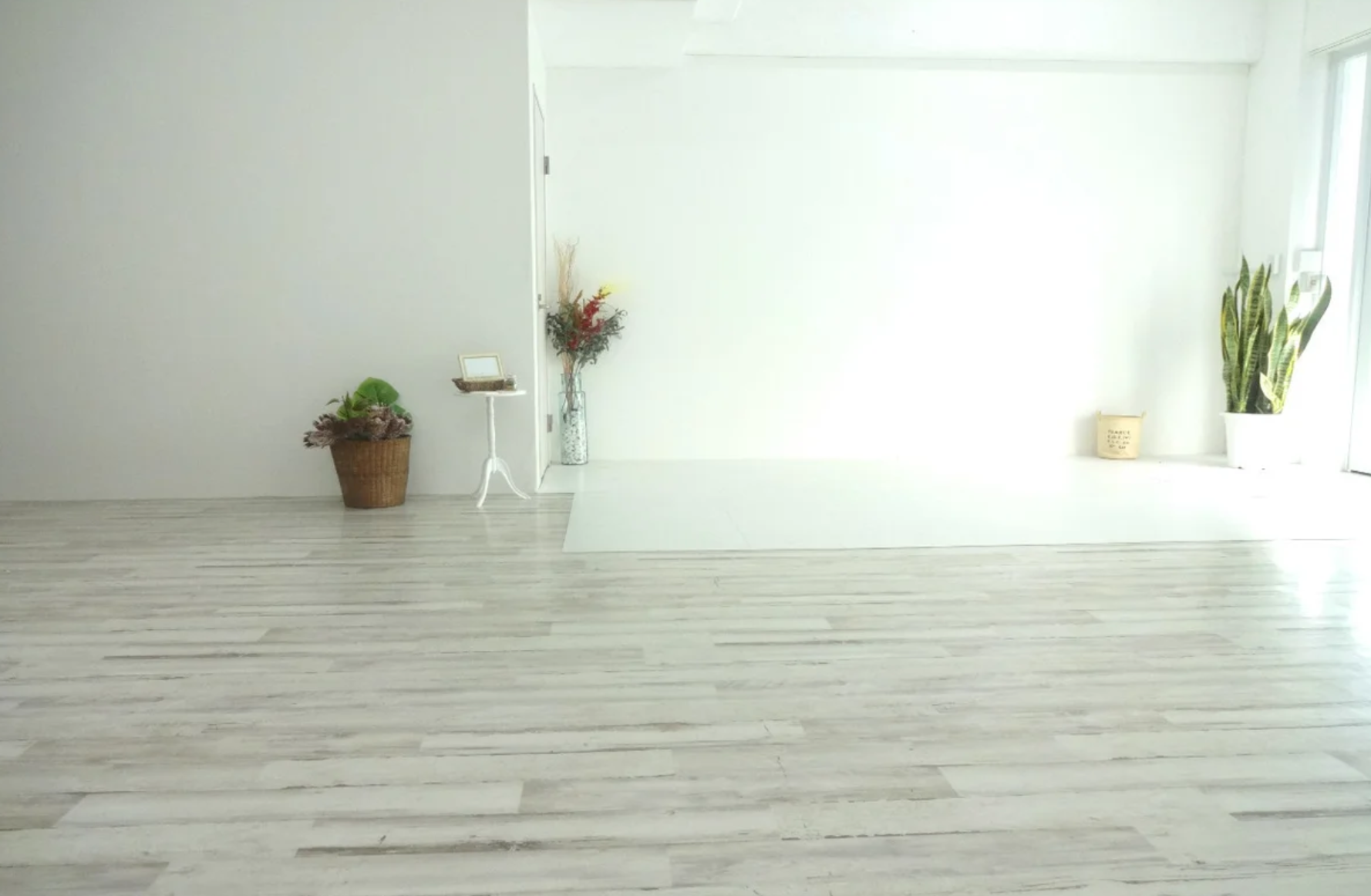 【ペット可】撮影スタジオおすすめTOP20｜愛する犬・猫と記念撮影！