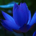 AKコンサルティング