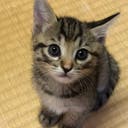 きのしたのりあき