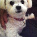 é«å®®æ£å¹ž