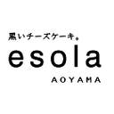 株式会社ESOLA