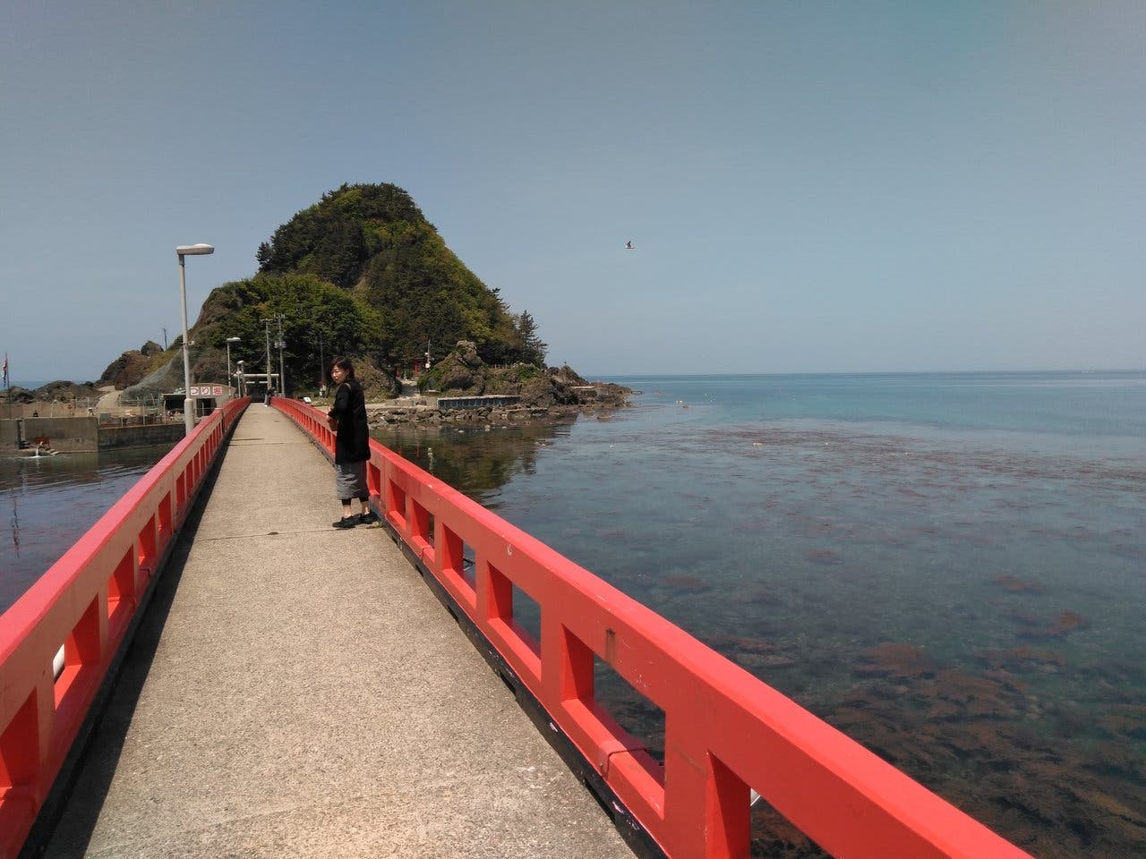 ホストのプロフィール画像