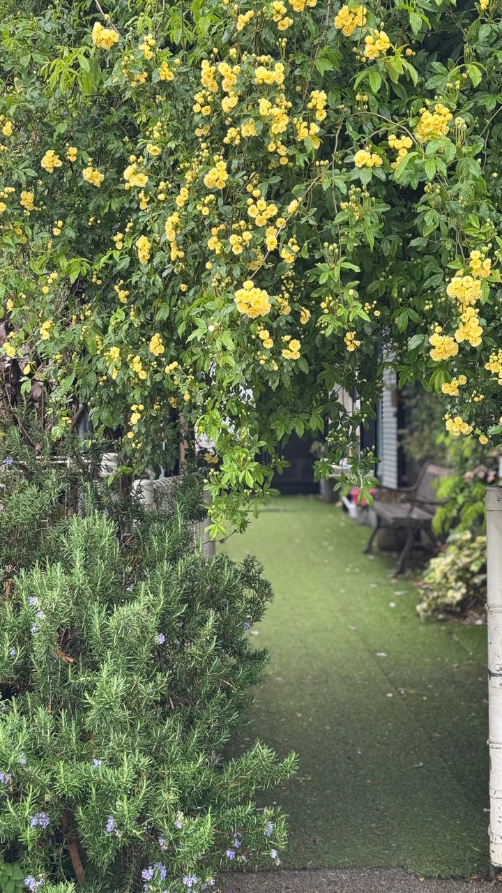 ホストのプロフィール画像