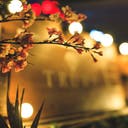 株式会社フィア