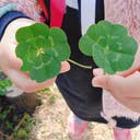 株式会社湘南メジャーカンパニー