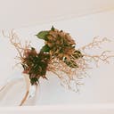 株式会社Elever~エルヴェ~