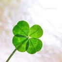 ㈱ディーブレーン