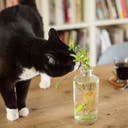 有限会社グラム・デザイン