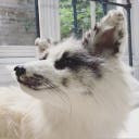 株式会社ゼロファーストデザイン