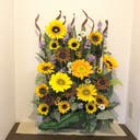 アクアヴィラ大宮