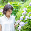 株式会社 こころの風通し