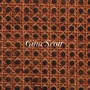 株式会社Gina Scott