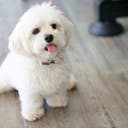 株式会社HnOkinawa