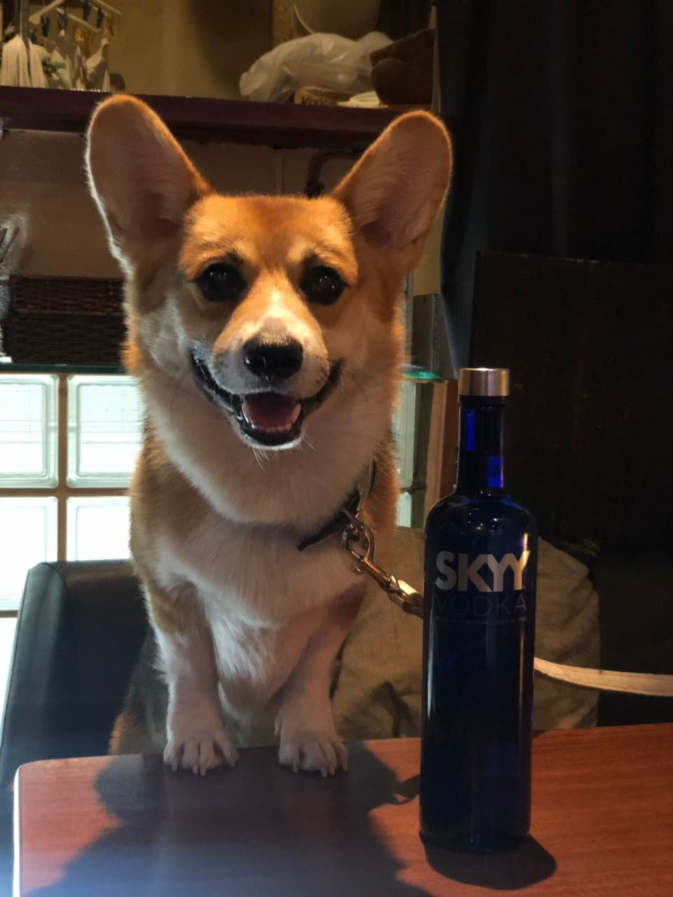 ホストのプロフィール画像