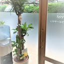 有限会社エイトアンドツリー