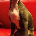 SSCホールディングス株式会社