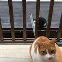 Code Of Street合同会社