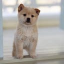 オーシャンスター株式会社