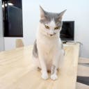 株式会社清談社