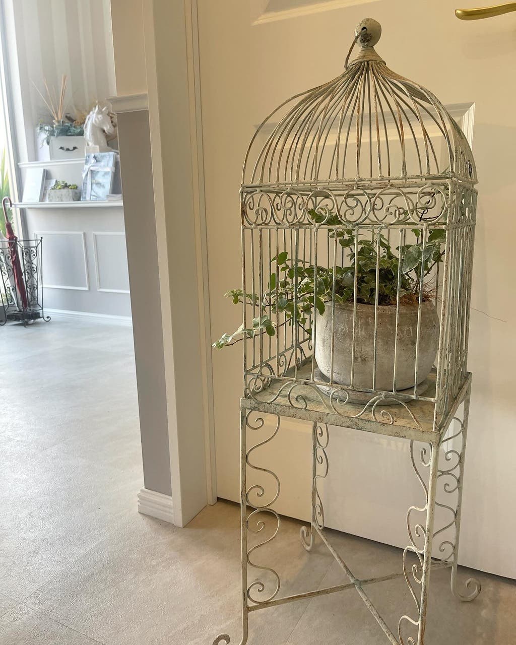 ホストのプロフィール画像