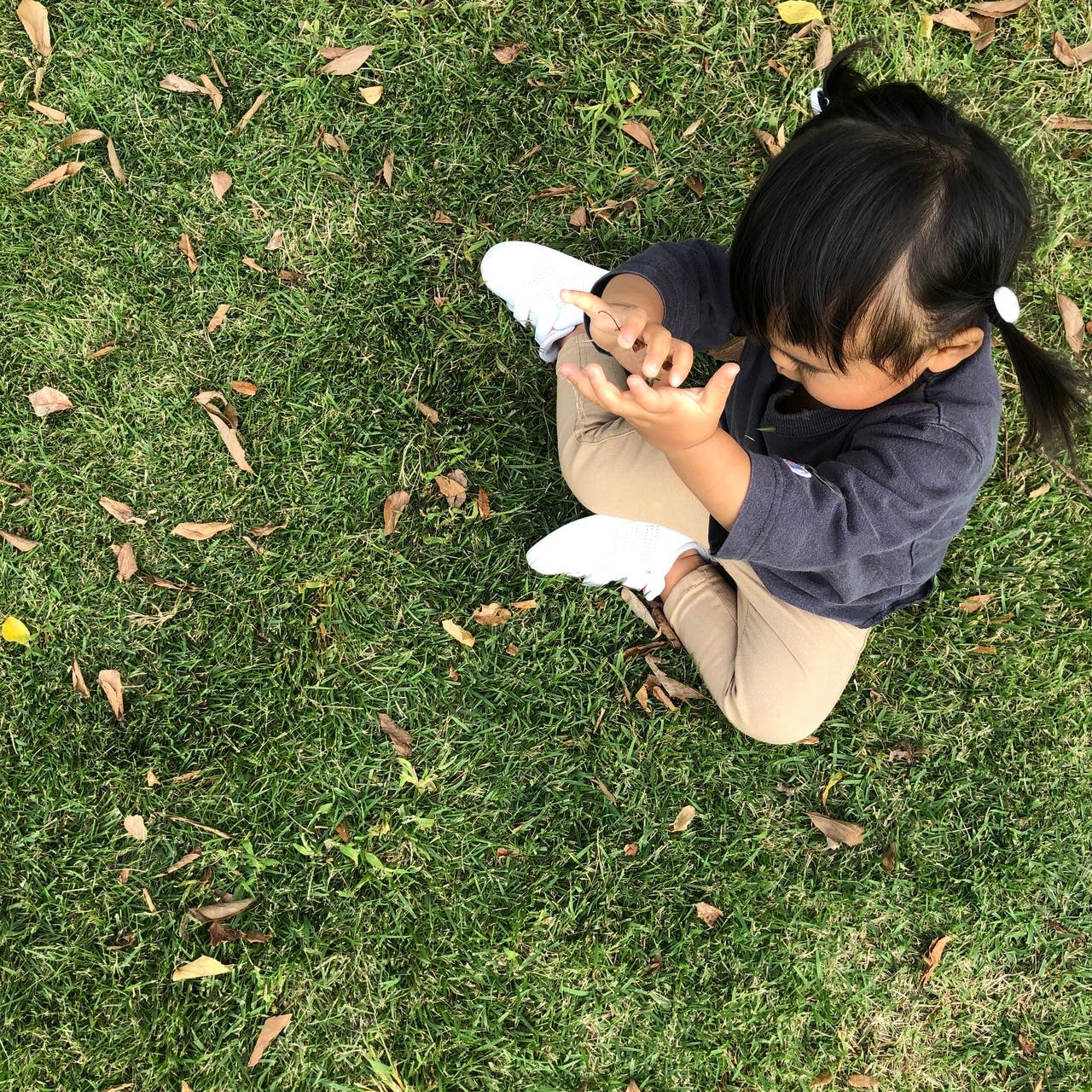 ホストのプロフィール画像