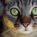 株式会社おまめ