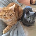 株式会社M'sマネジメント