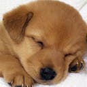 ベイトックス合同会社