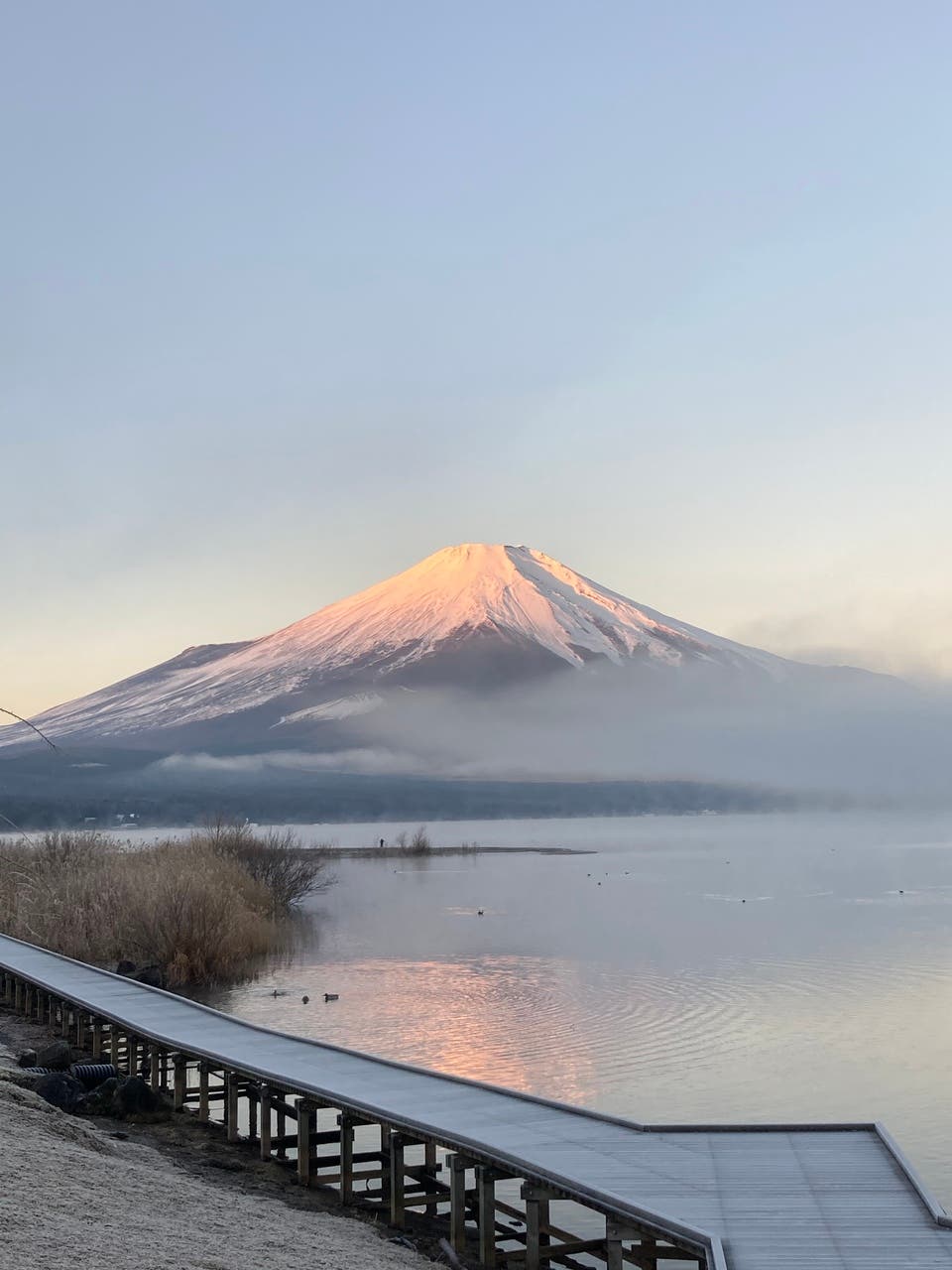 ホストのプロフィール画像