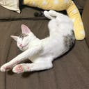 池上猛