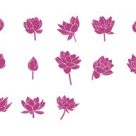 菅原尚