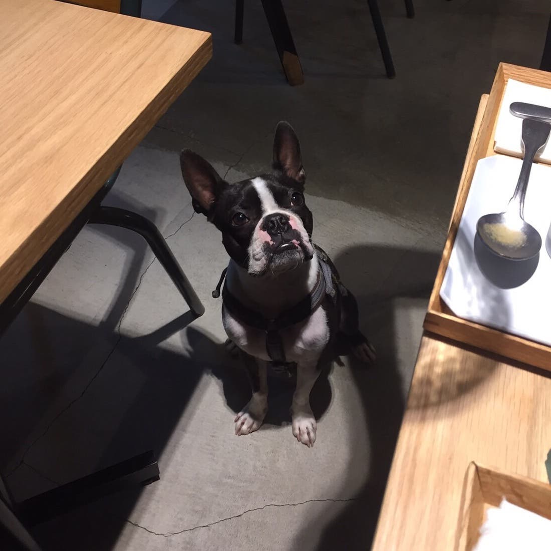 ホストのプロフィール画像