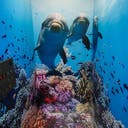 株式会社弘侑堂