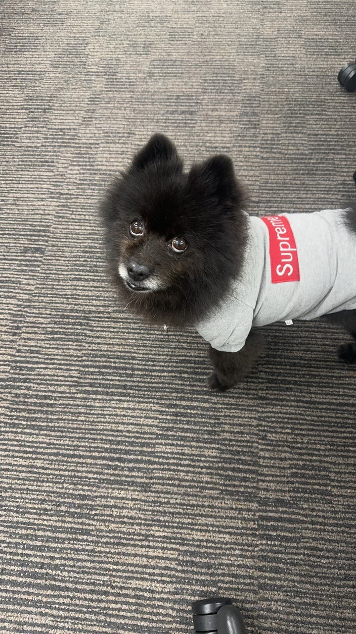 ホストのプロフィール画像