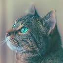 Fleur&Co合同会社